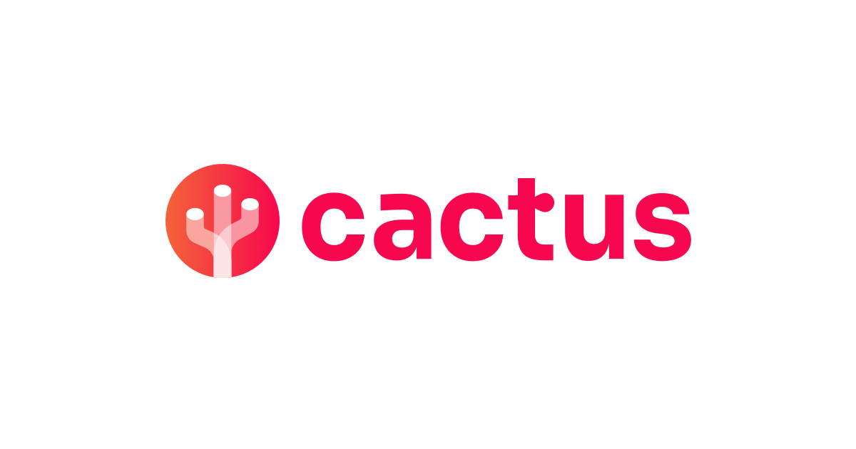 Success Cases - Guiding Digital Transformation - Cactus