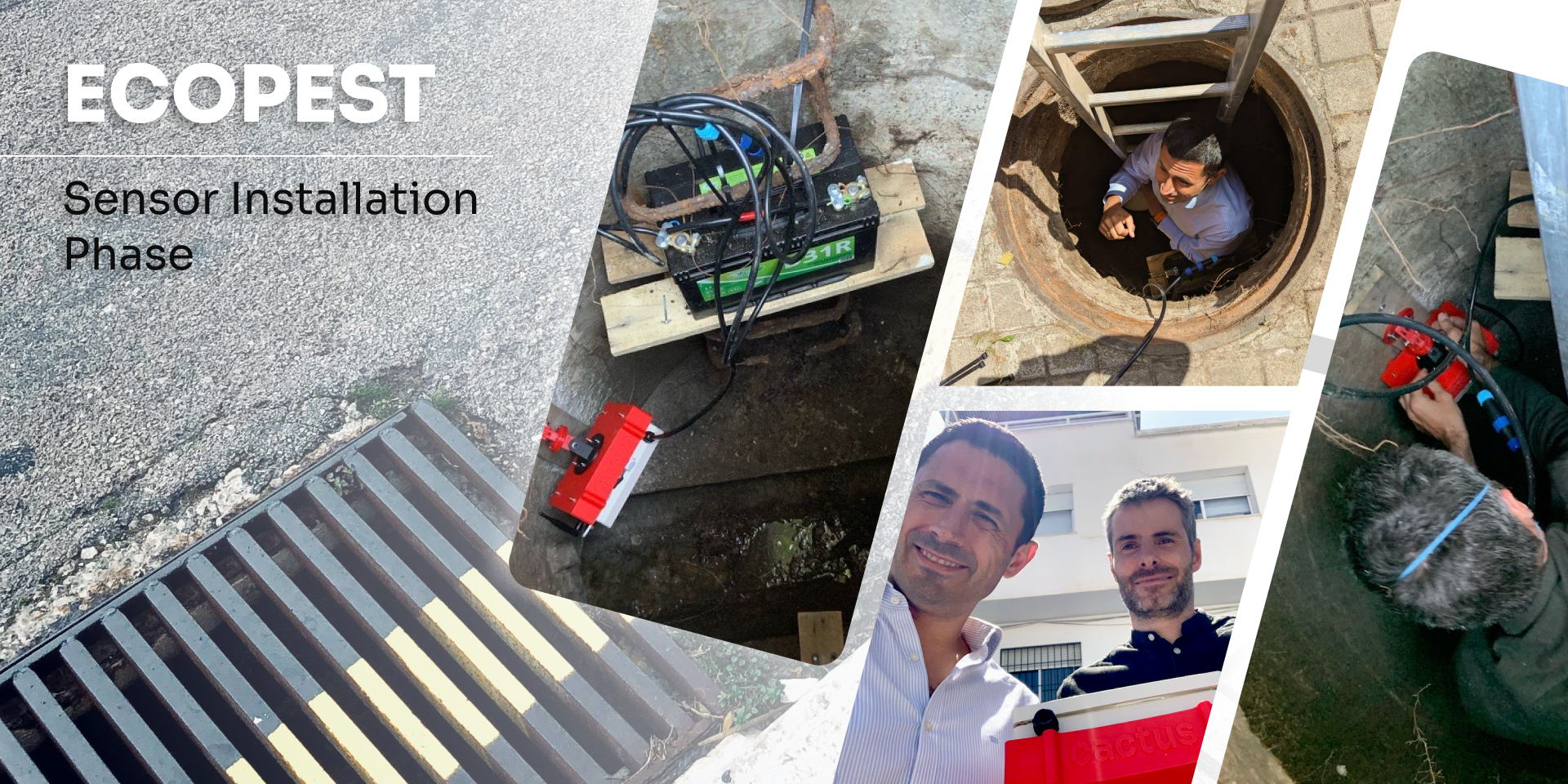 Advanced Pest Management Solutions for Urban Areas